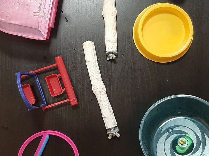 Вещи для попугая и грызунов