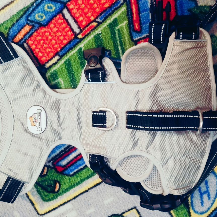 Шлейка для собаки