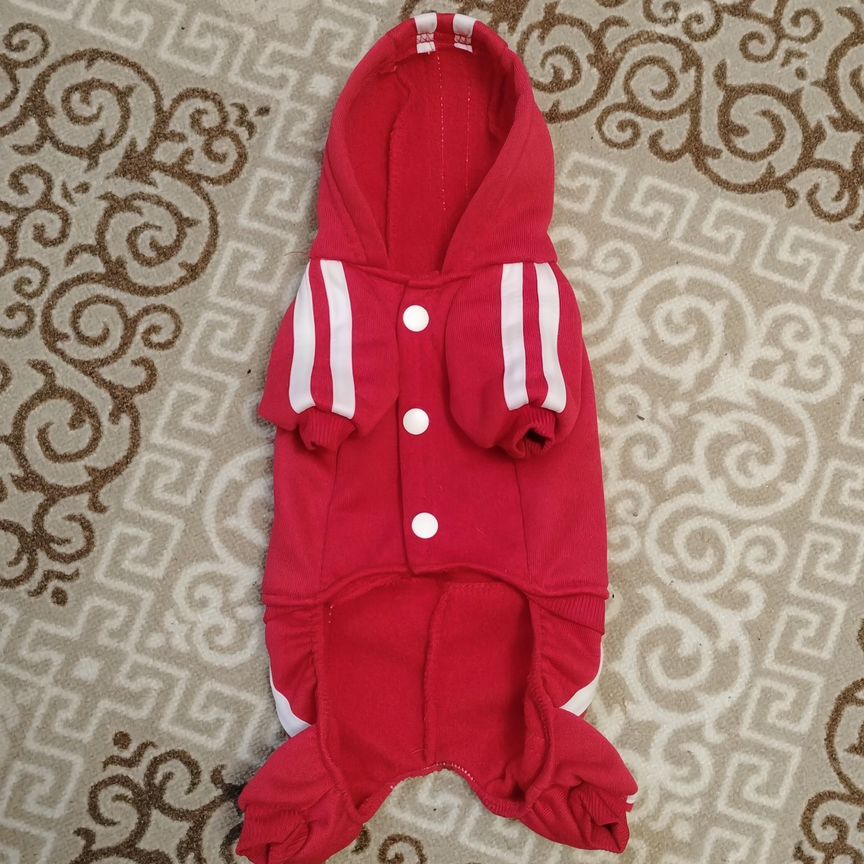 Одежда для маленьких собак