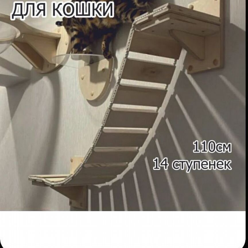 Комплекс для котов