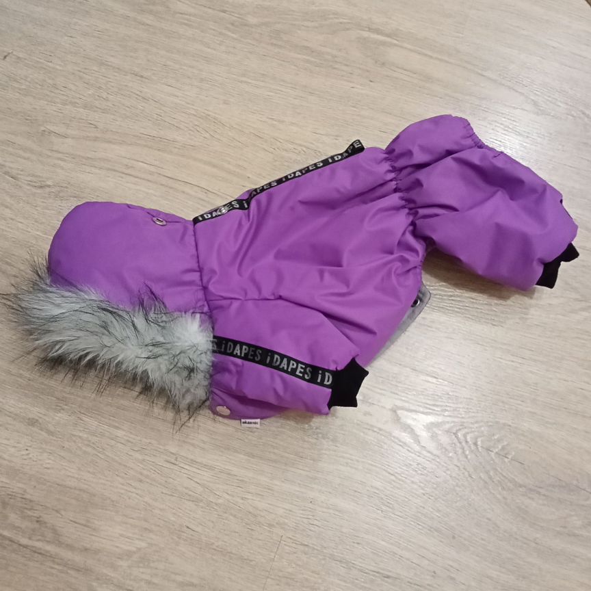 Зимний комбинезон для маленькой собаки