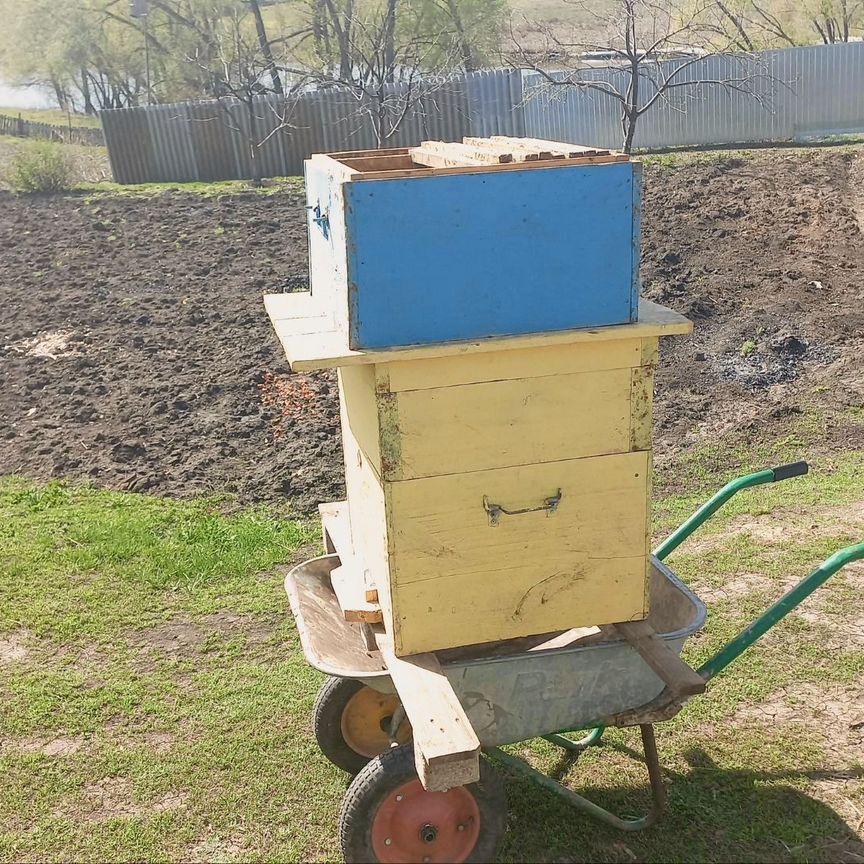 Продам домики улья количество 5-6 штук, рамки