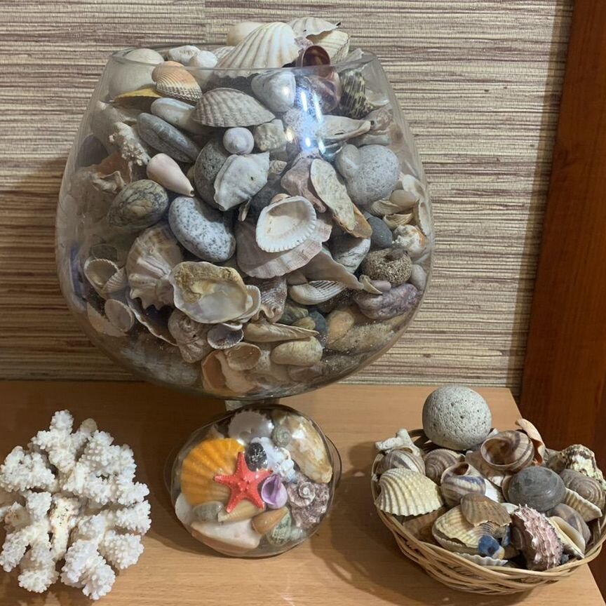 Ракушки и кораллы