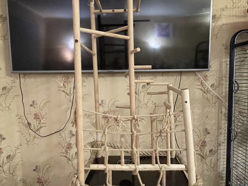 Присада для попугая