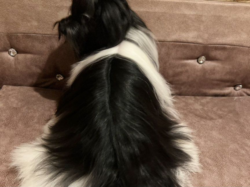 Шикарные девочки и мальчики