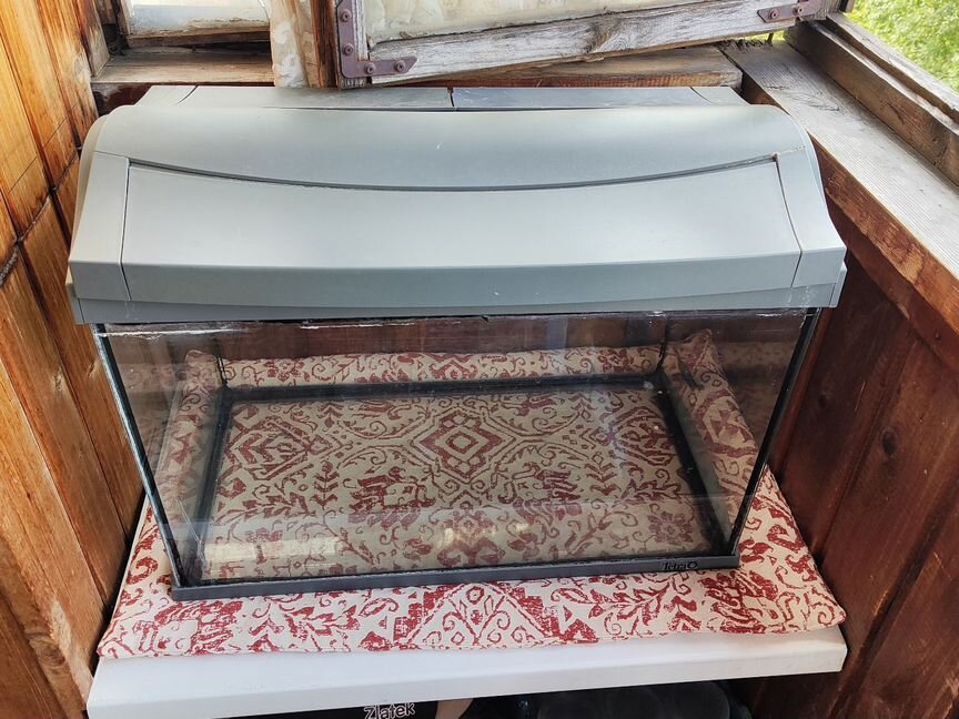 Аквариум террариум