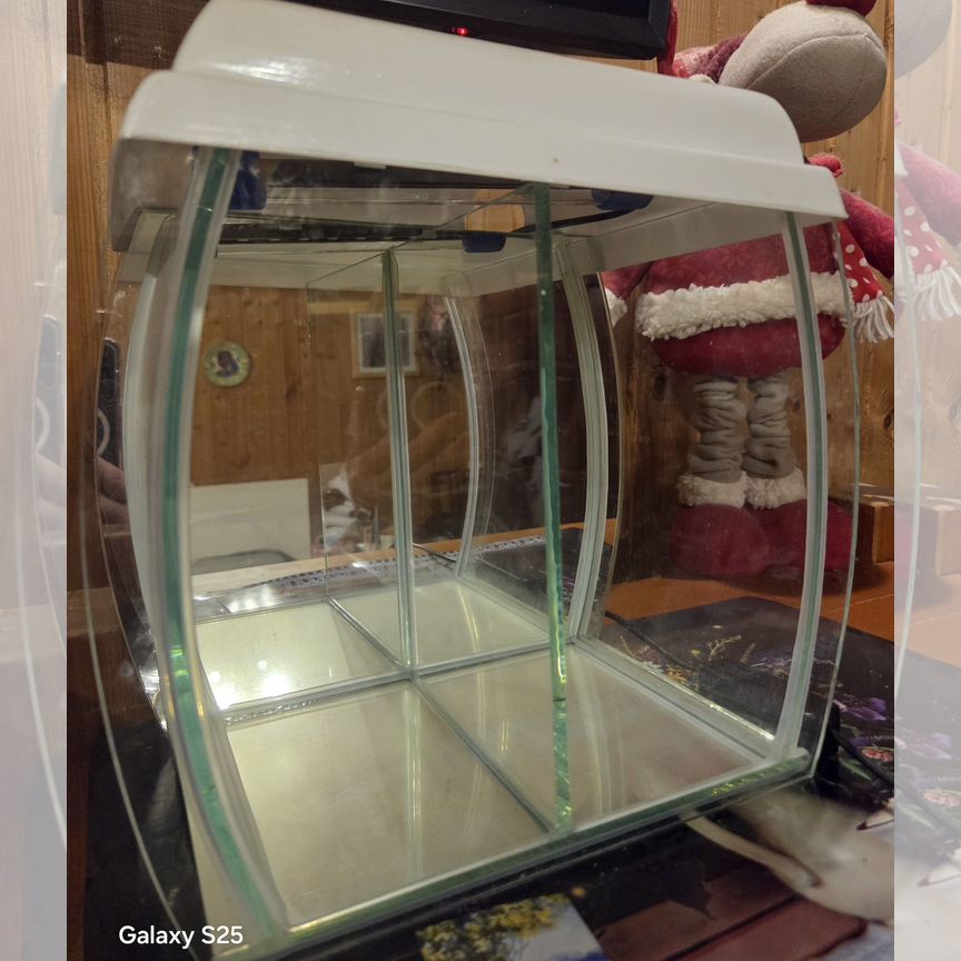 Аквариум для петушка