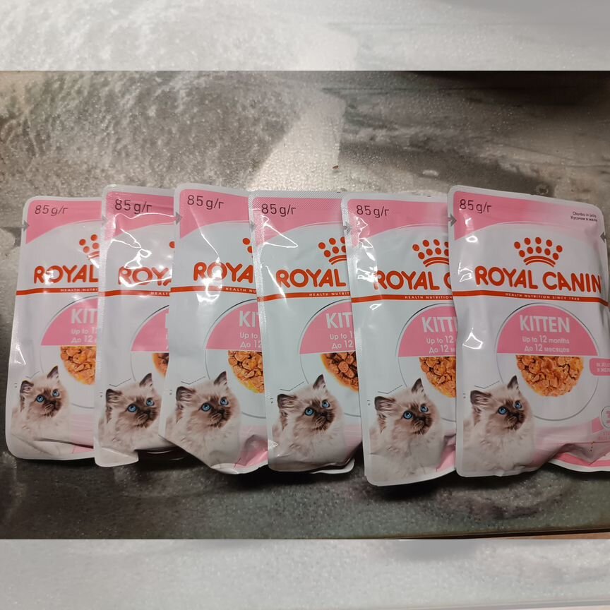 Влажный корм для котят до года