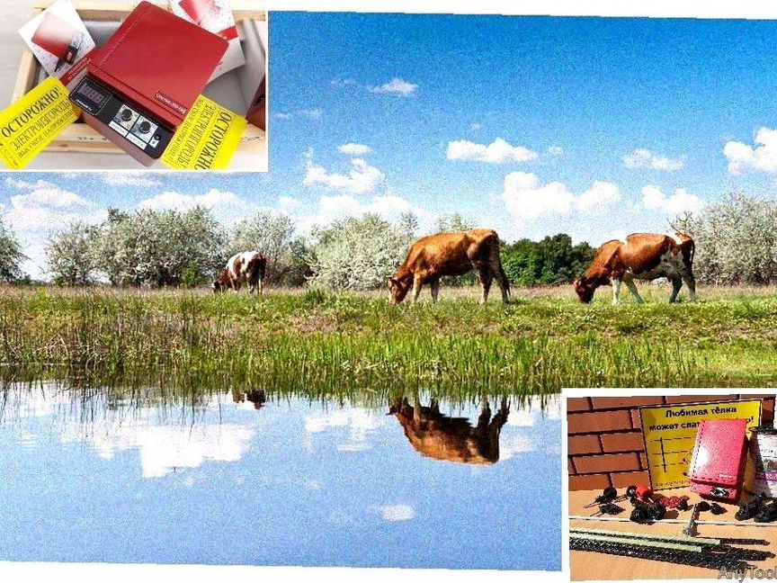 Электропастух