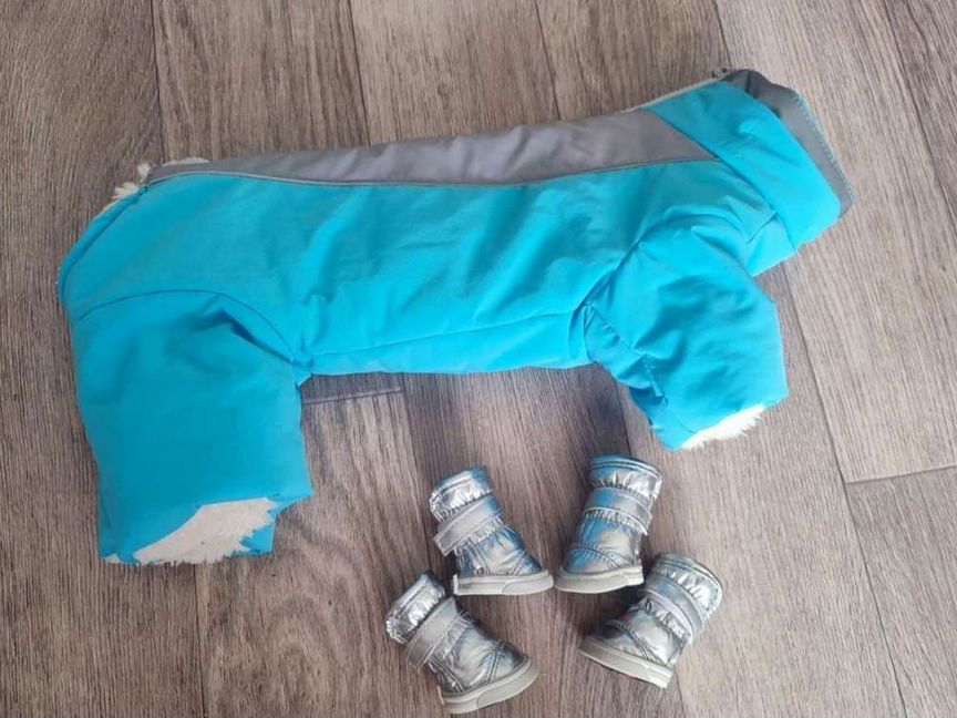 Одежда для собак