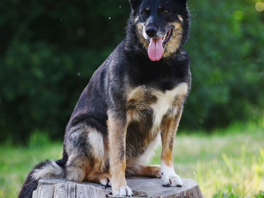 Альма ждёт свою семью