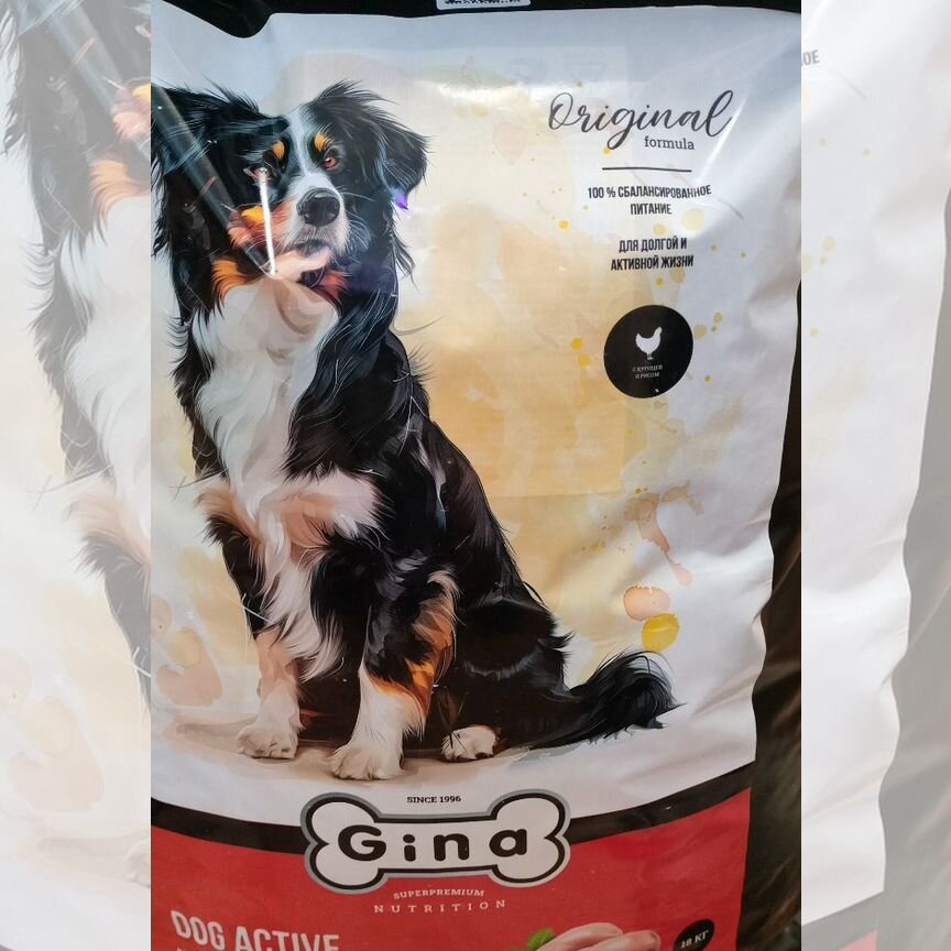 Корм для собак Джина