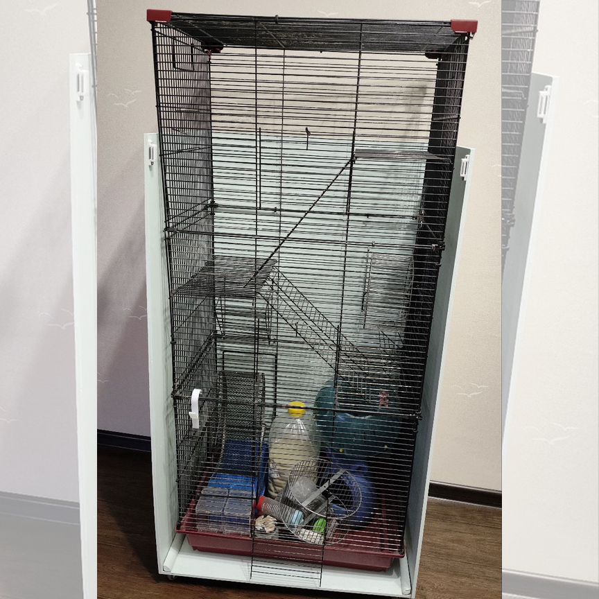 Клетка для дегу, крыс или шиншиллы