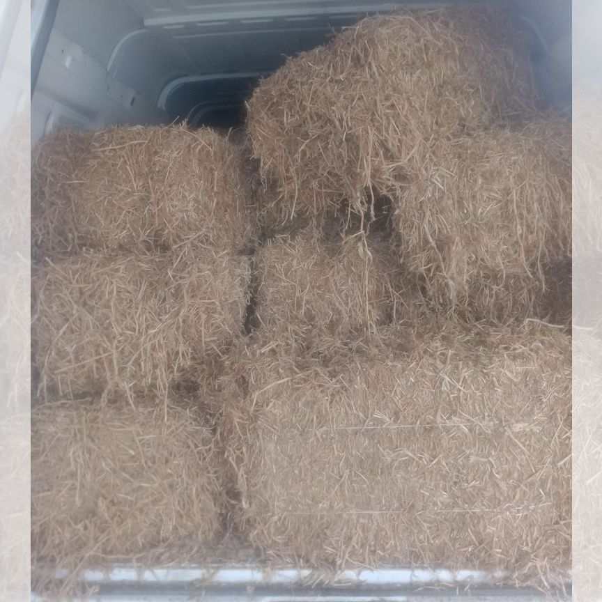 Сено гороха, ячмень