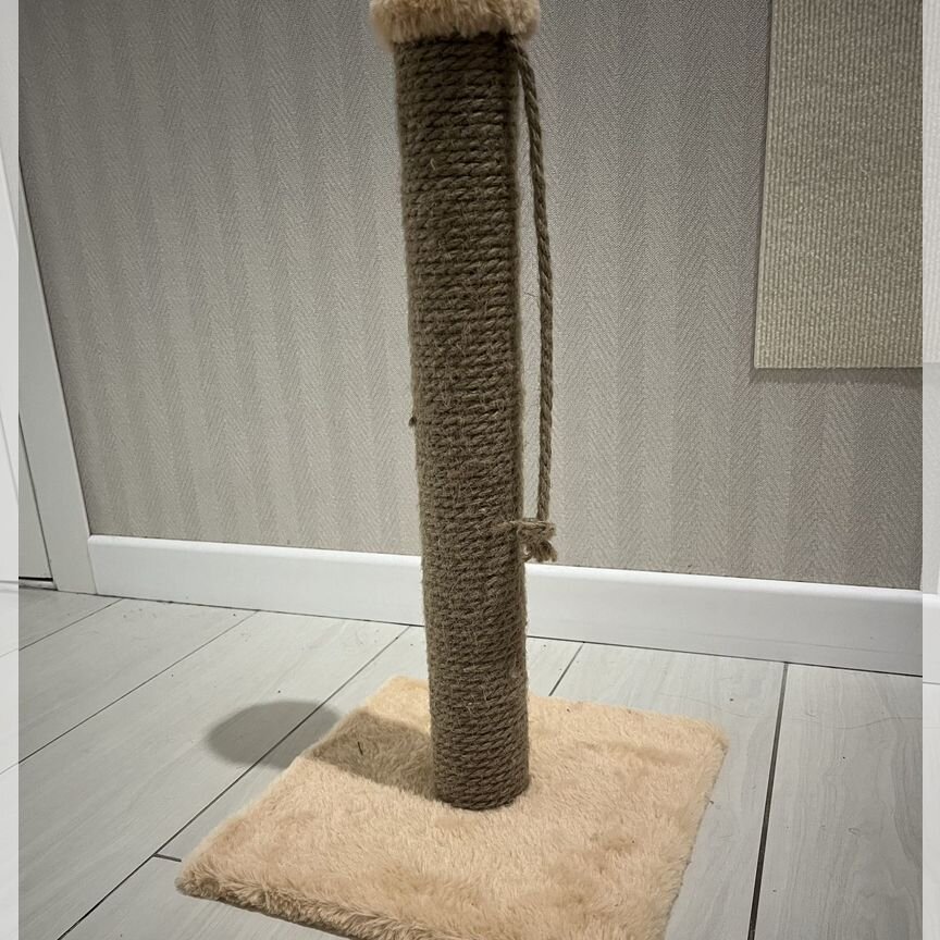 Когтеточка