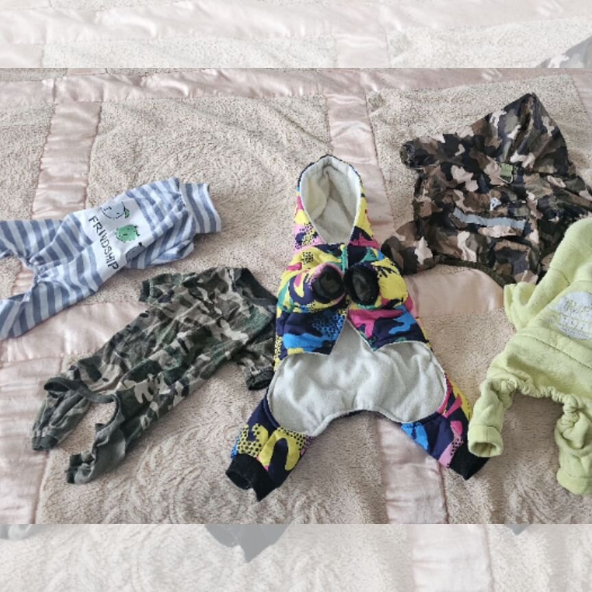 Одежда для маленьких собак пакетом, s