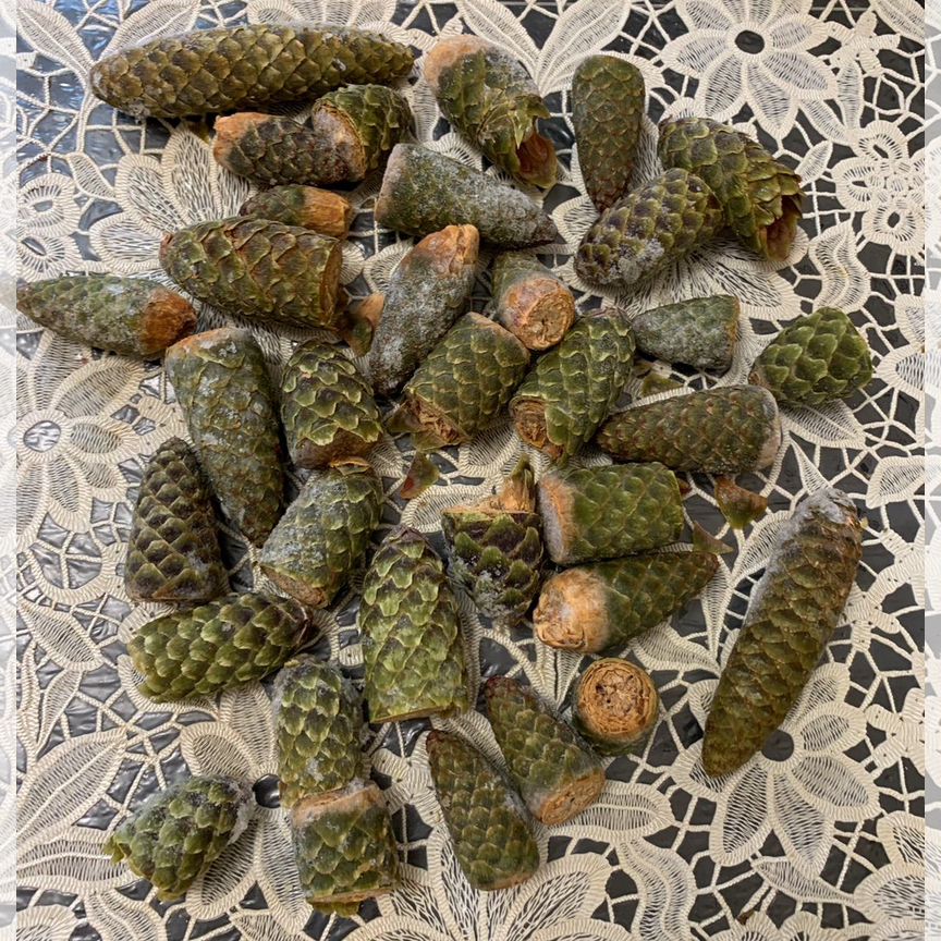 Шишки еловые зеленые замороженные