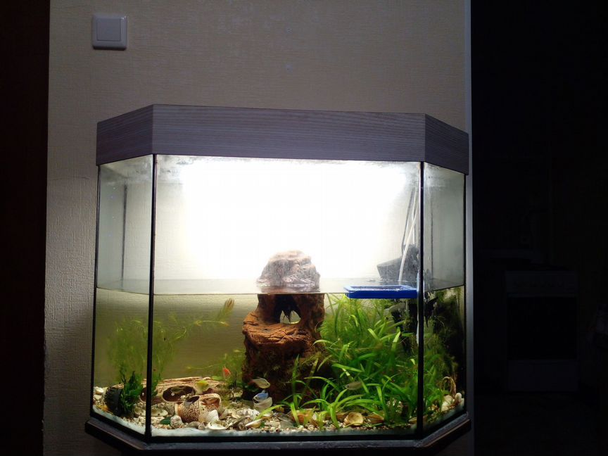 Аквариум 80 л