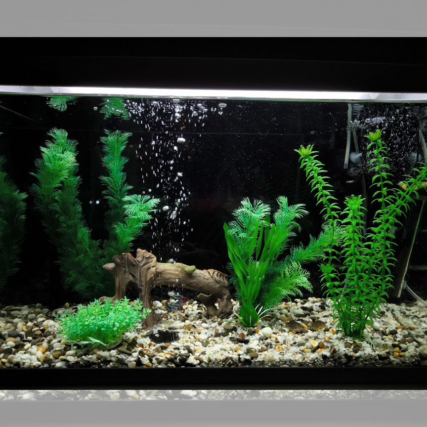 Аквариум tetra 60л