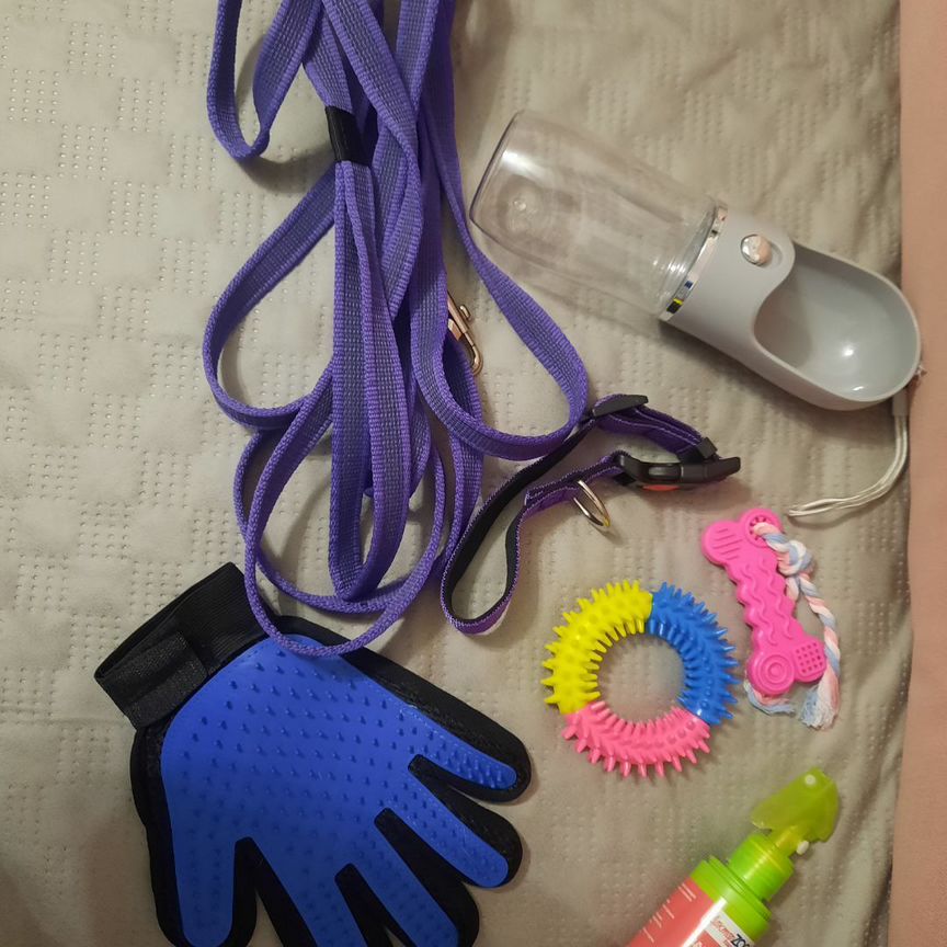 Набор для собак