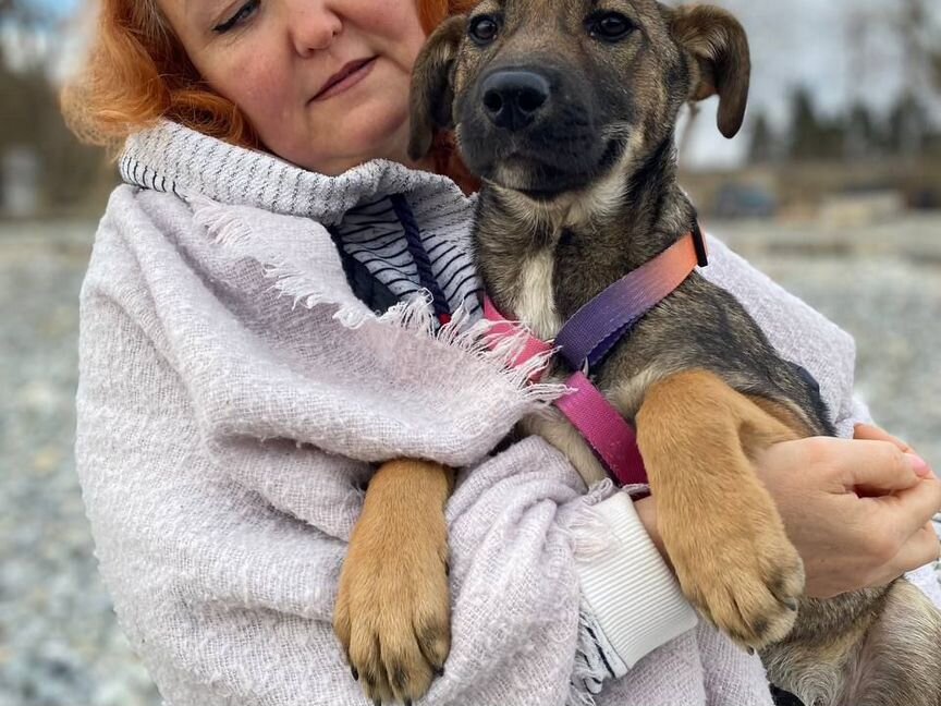 Хейли милый щенок ангелочек в добрые руки