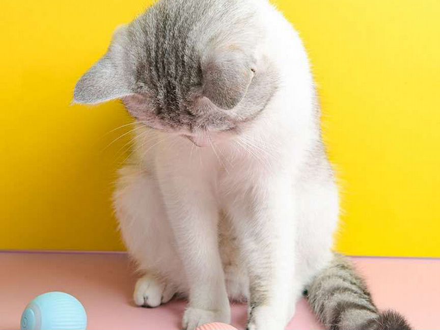Умный мячик игрушка для кошек