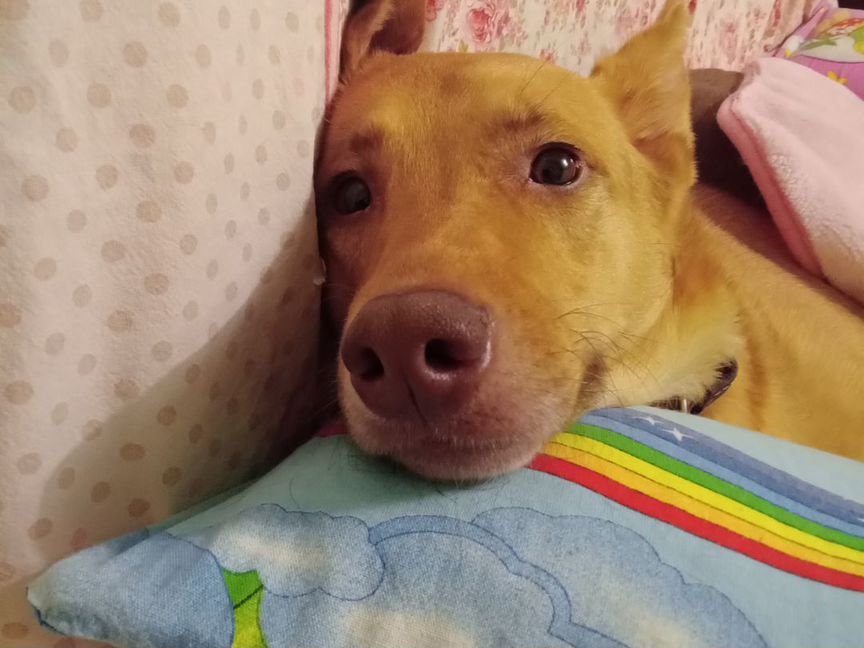 Нужна передержка