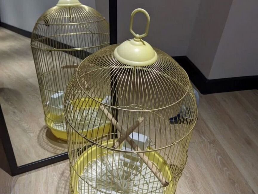 Переноска для птиц