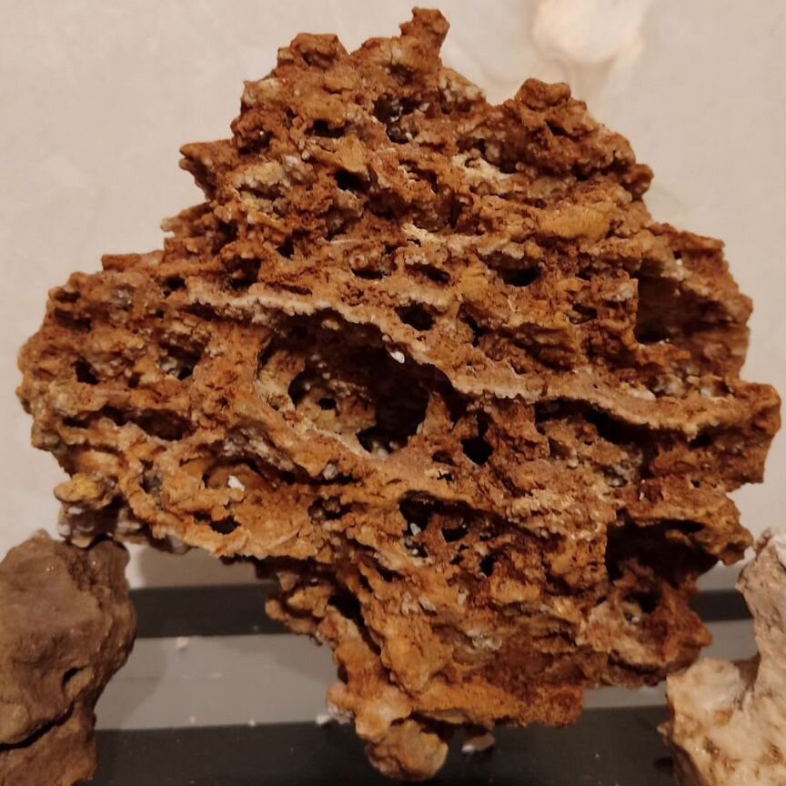 Камни для аквариума песчаники и каменистая лава