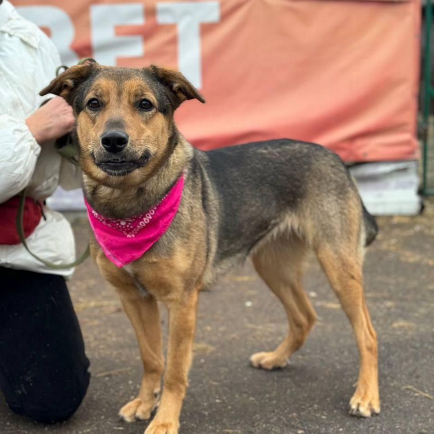 Мина ищет свою семью