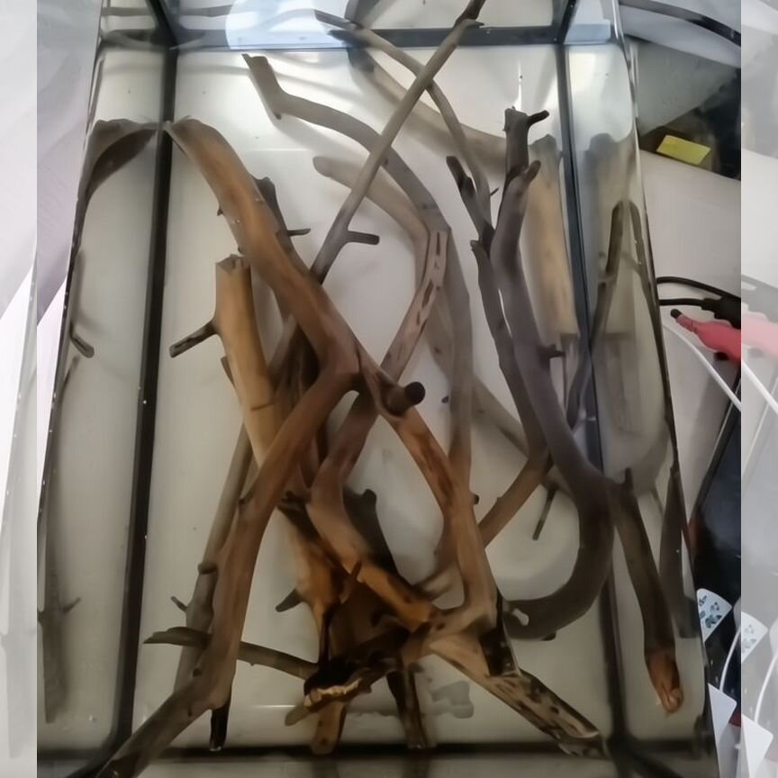 Коряги для аквариума