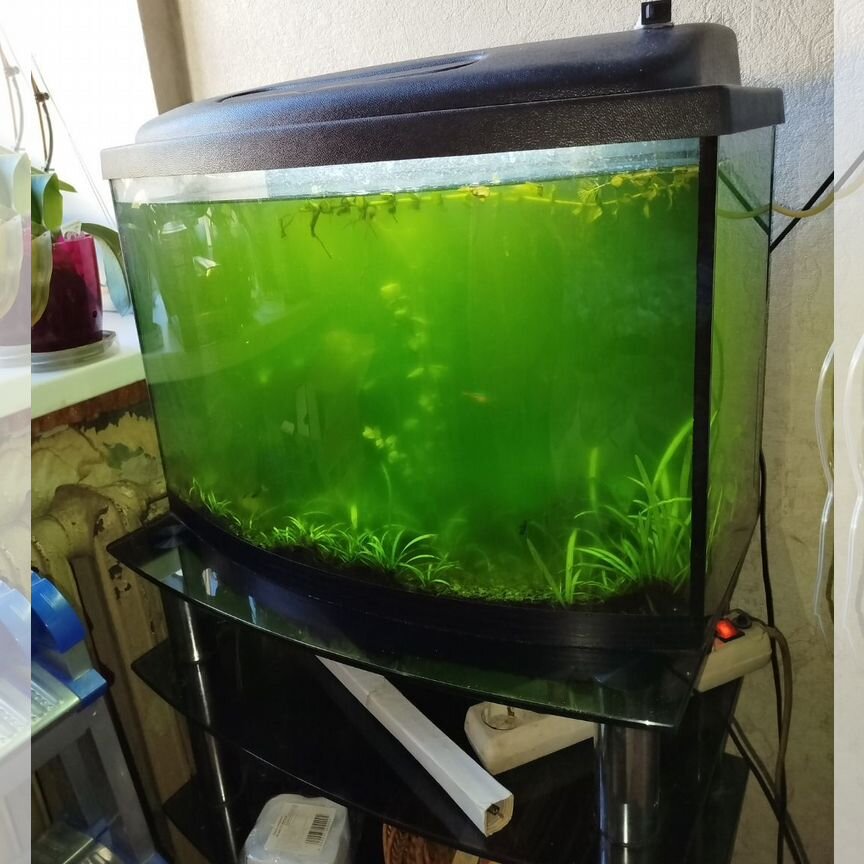 Аквариум с рыбками