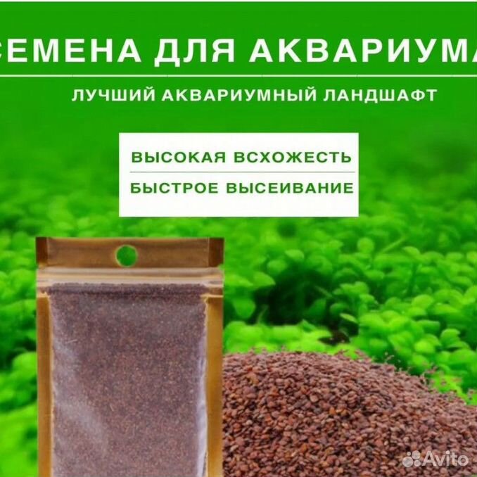 Семена для аквариума Микрантемум Монте Карло