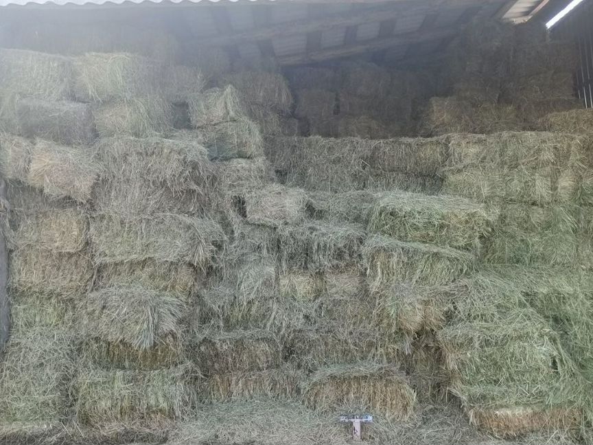 Сено в тюках