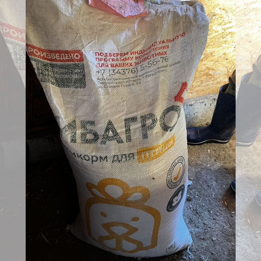Корм пк 11 для бройлеров