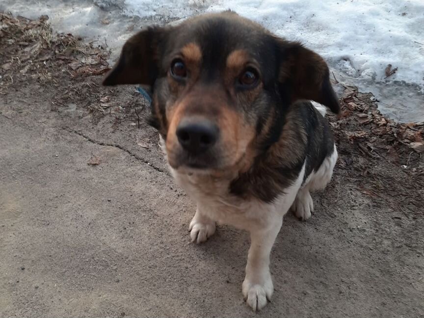 Кто потерял девочку