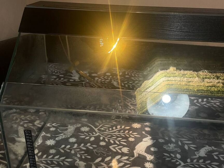 Акватеррариум для черепах 100 литров