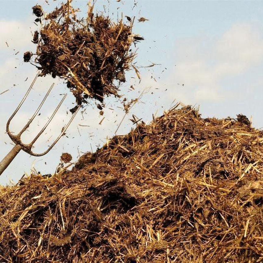 Навоз говядины