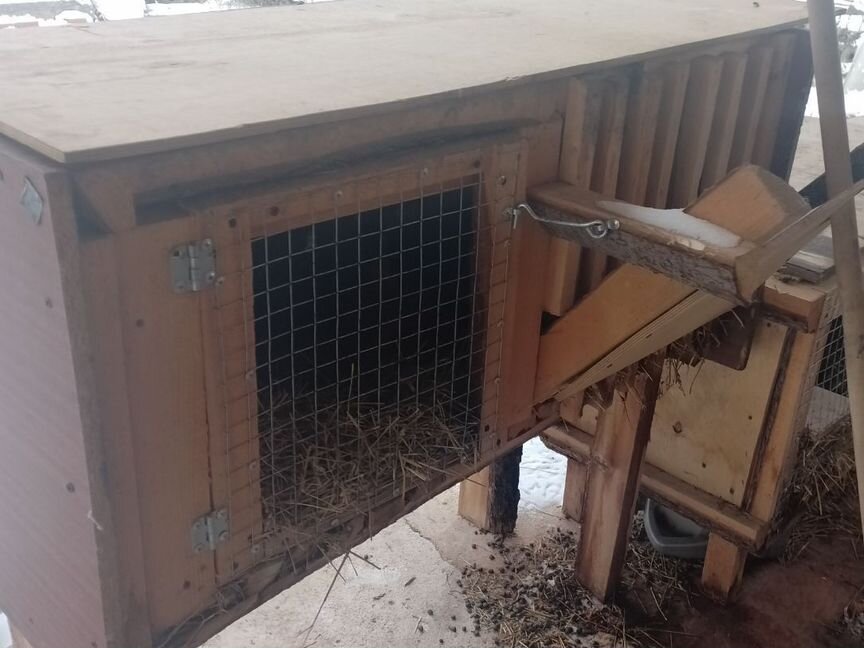 Клетка для кроликов