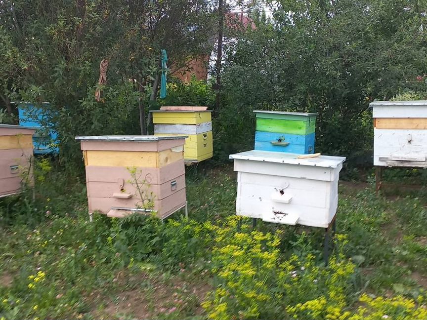 Ульи для пчел 16 рамочный