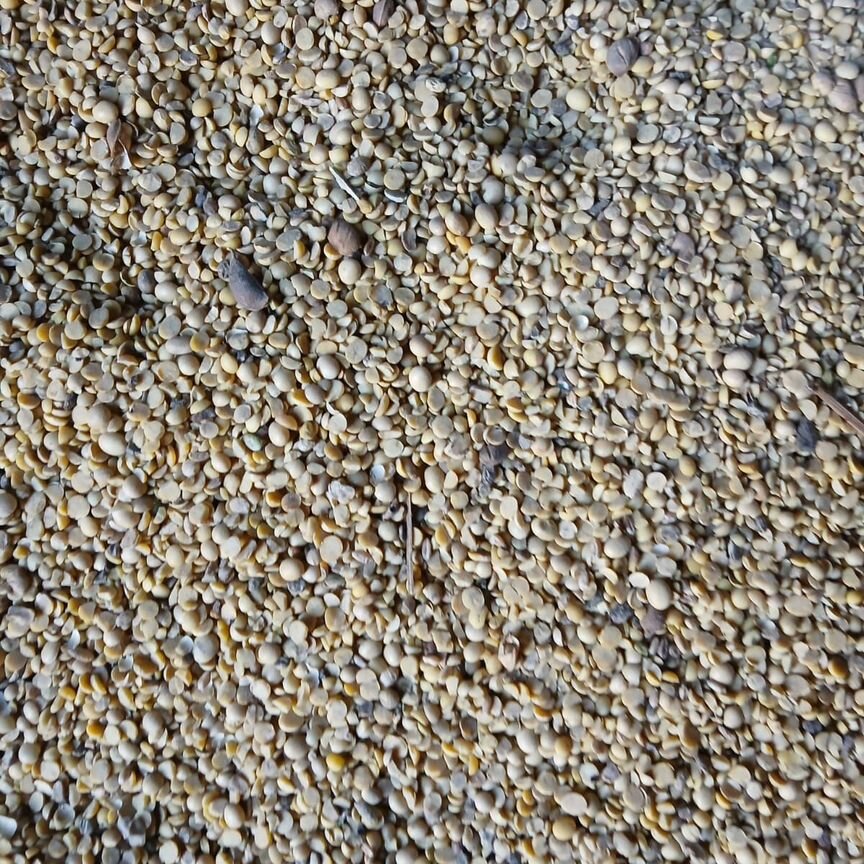 Отходы соевые