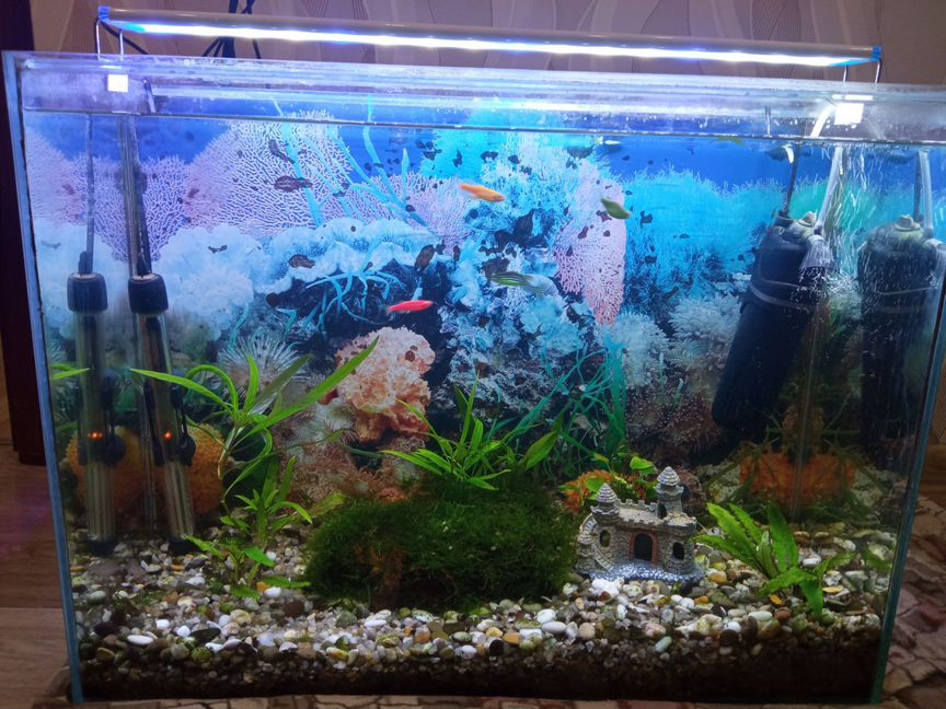 Аквариум с оборудованием