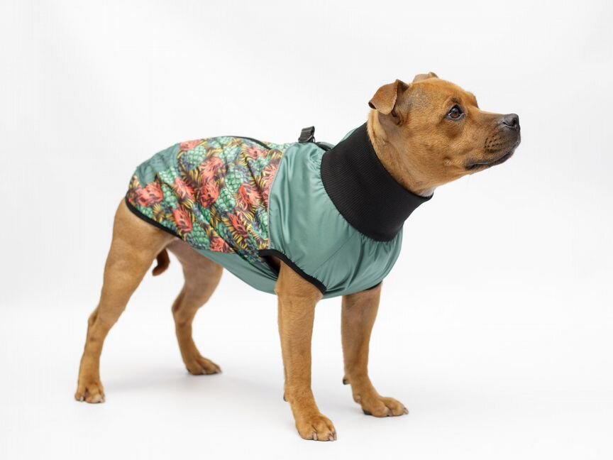 Жилетка для собак