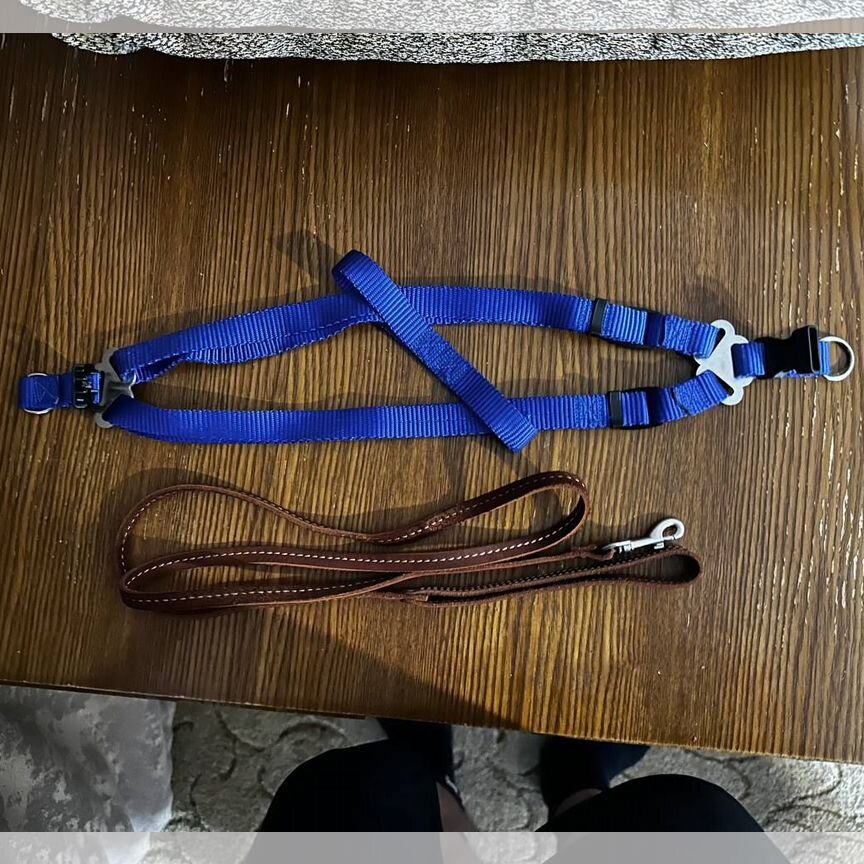 Шлейка для маленькой собаки