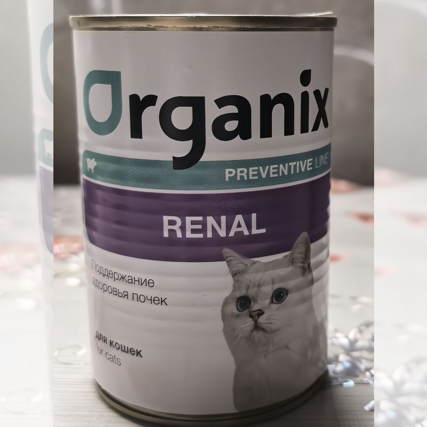 Влажный корм для кошек