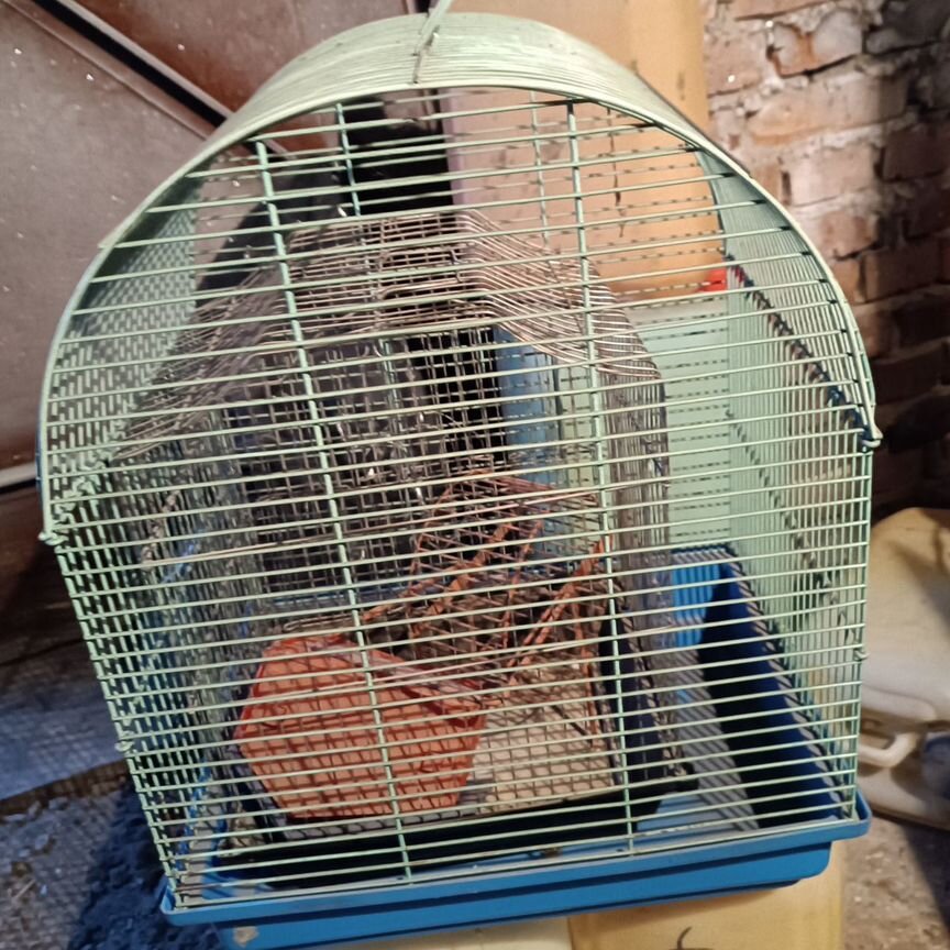 Клетки для птички и грызуна