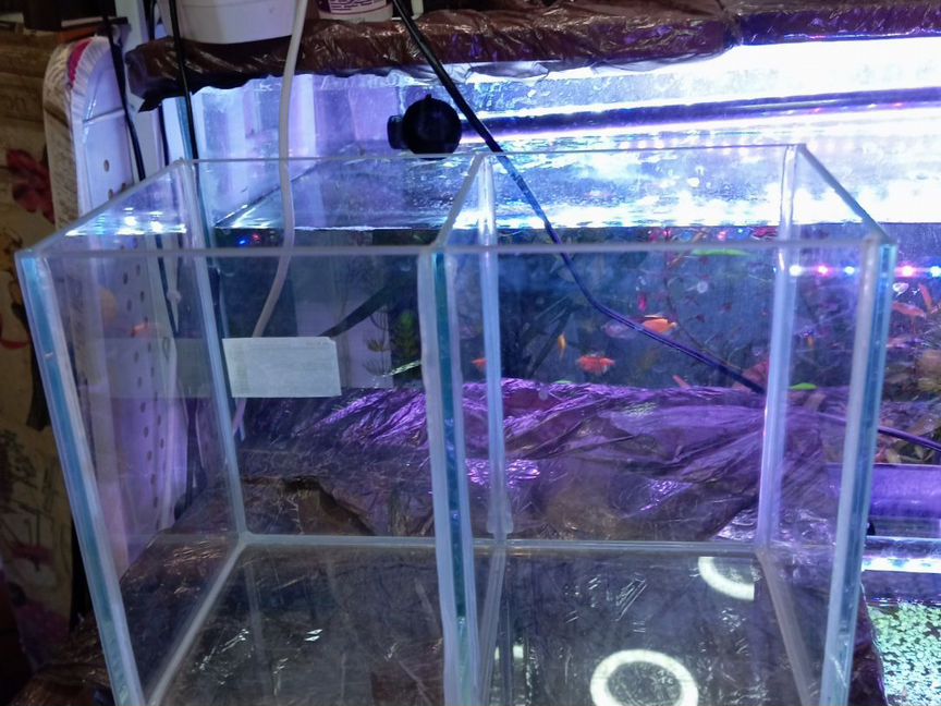 Аквариум отсадник