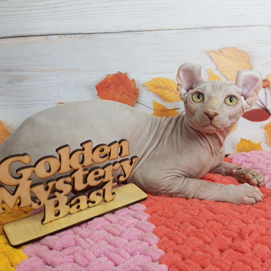 Эльф Сфинкс