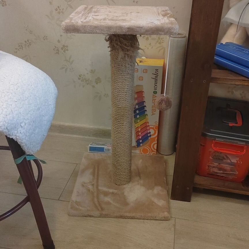 Когтеточка