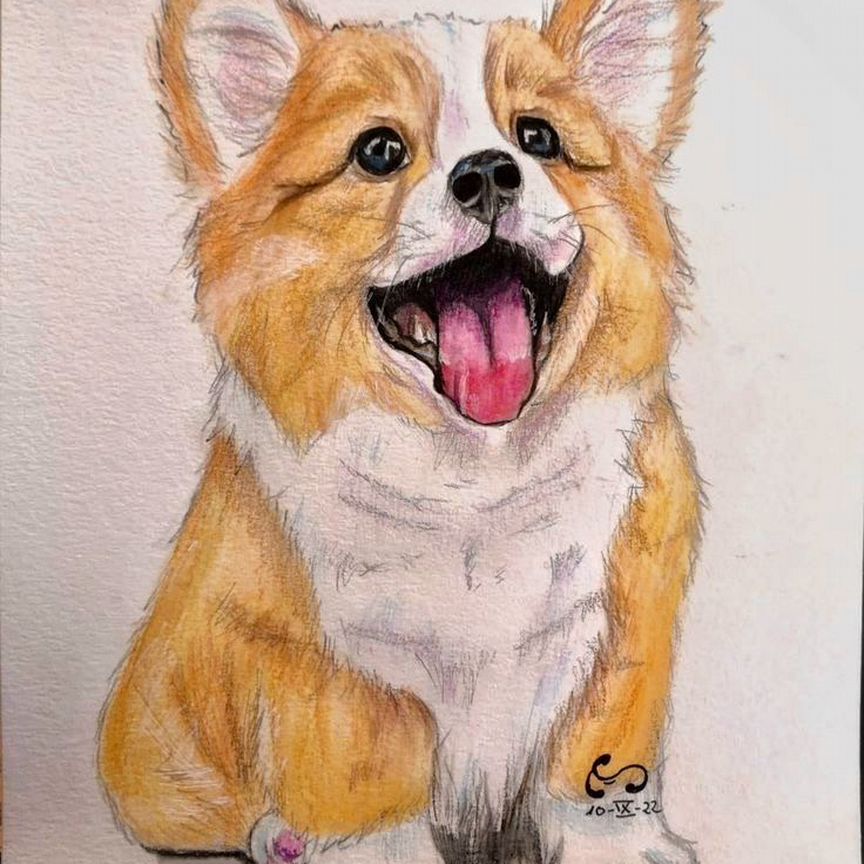 Рисую ваших питомцев